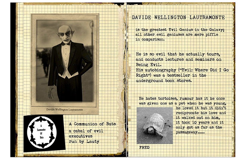 Experience - PETER MCADAM BA, MA.